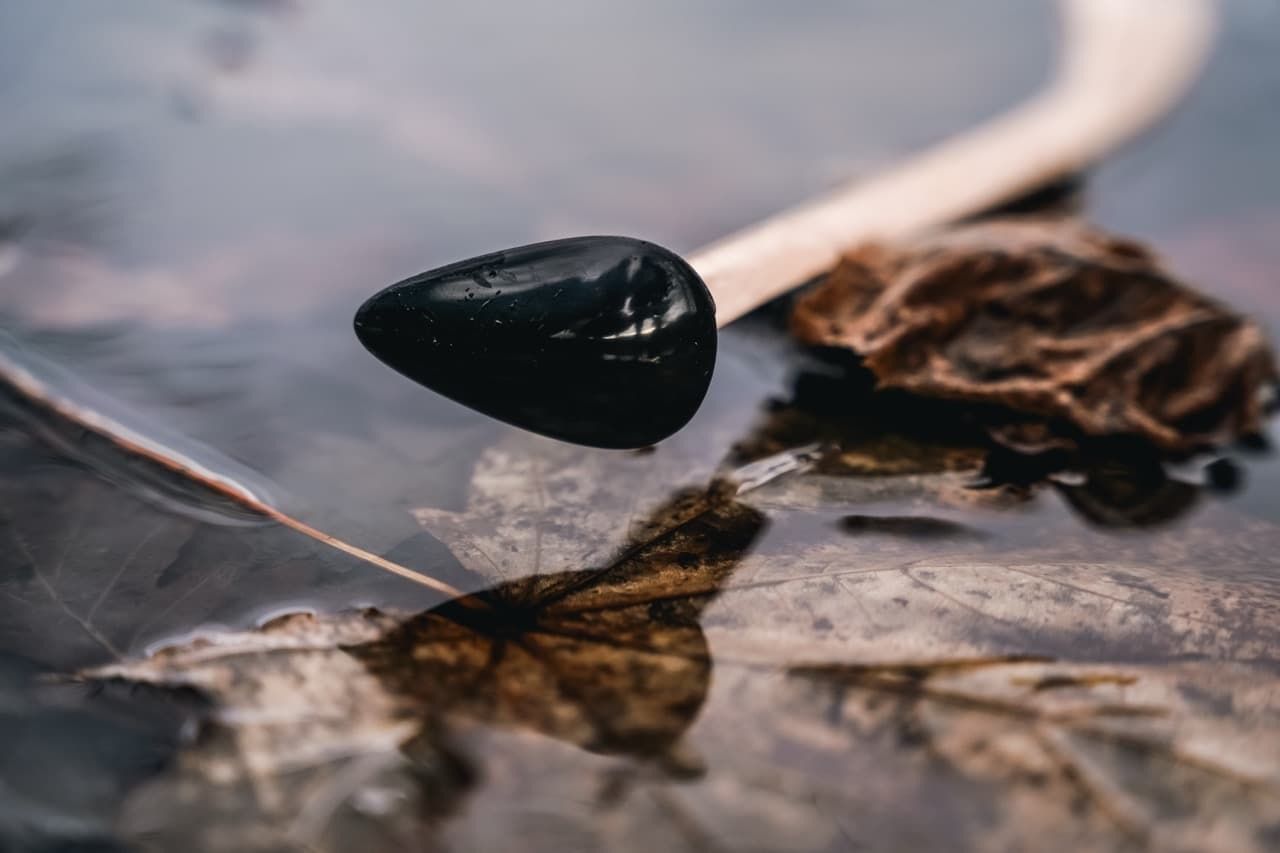 Products | The Homeland Of Catfishing